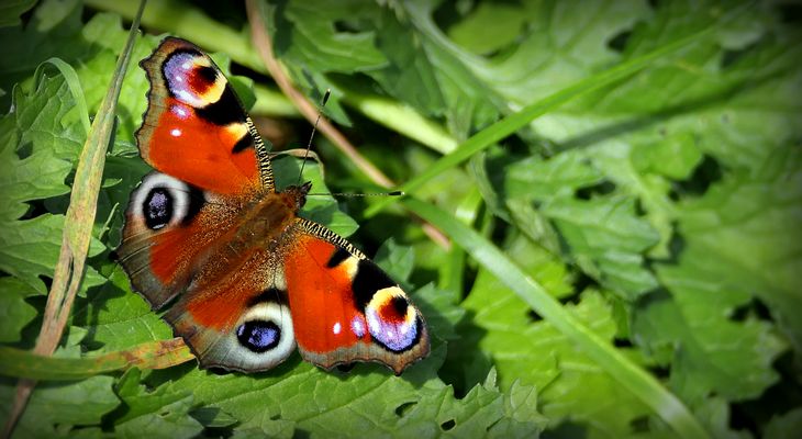 Emotions Pictures & Photos