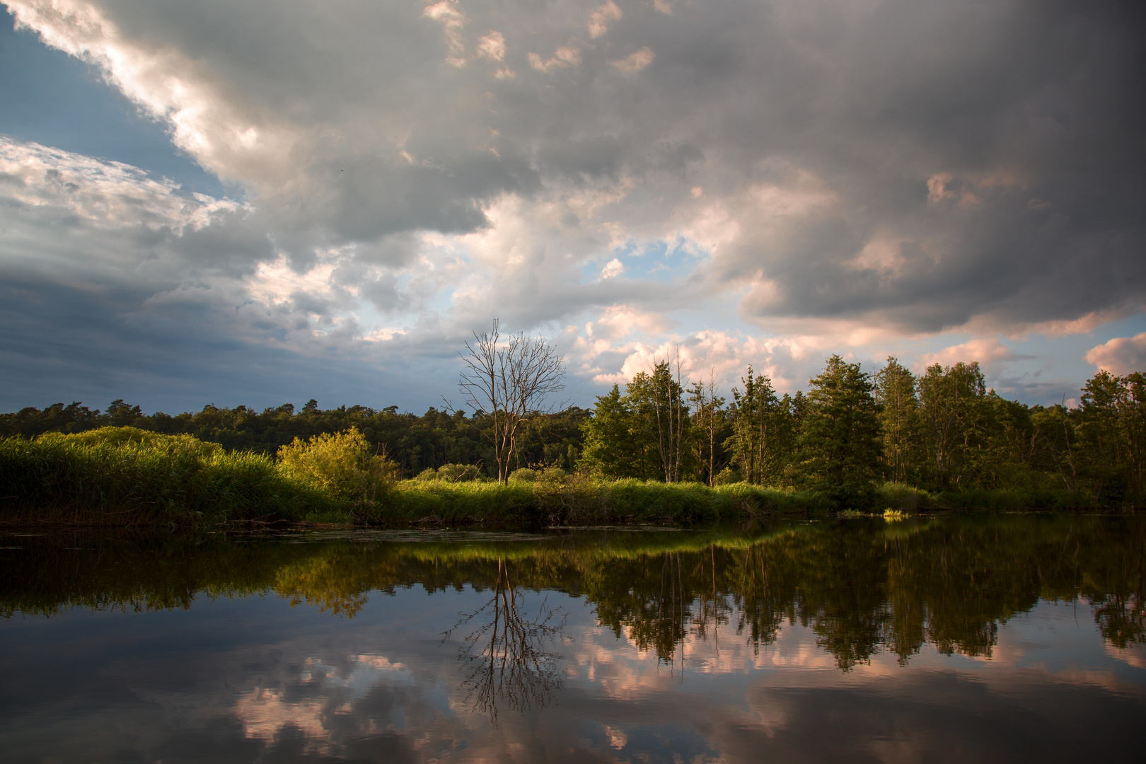 Peene - der Amazonas bei uns im Norden Foto & Bild | world, fluss ...