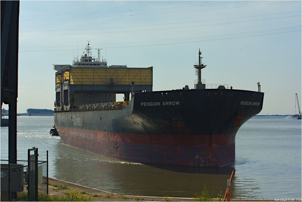 PENGUIN ARROW / General cargo / Antwerpen Foto & Bild | schiffe und ...