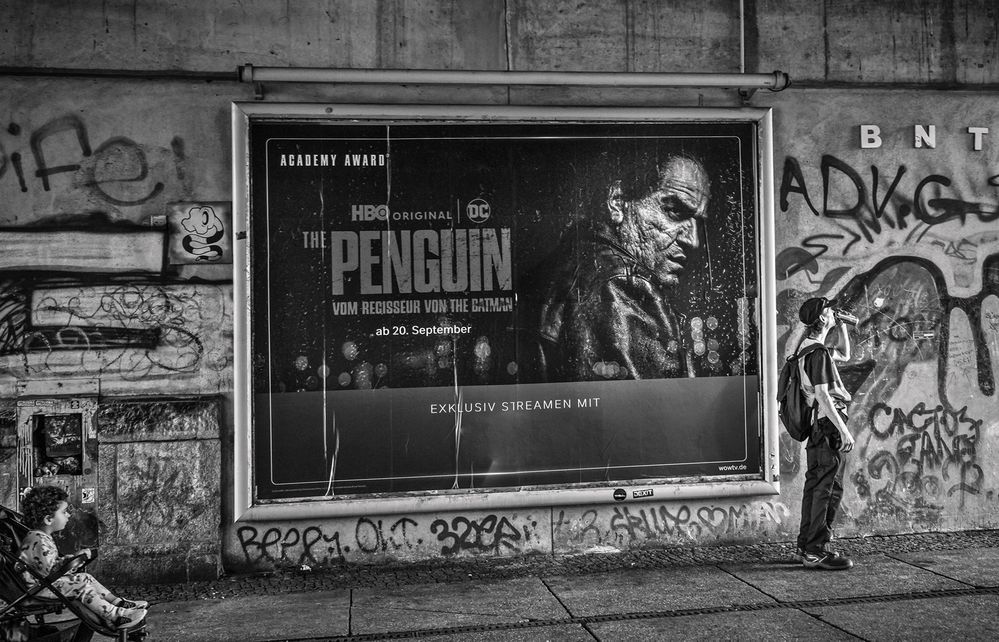 Penguins Foto & Bild | reportage dokumentation, portrait, streetfotografie mit menschen Bilder ...