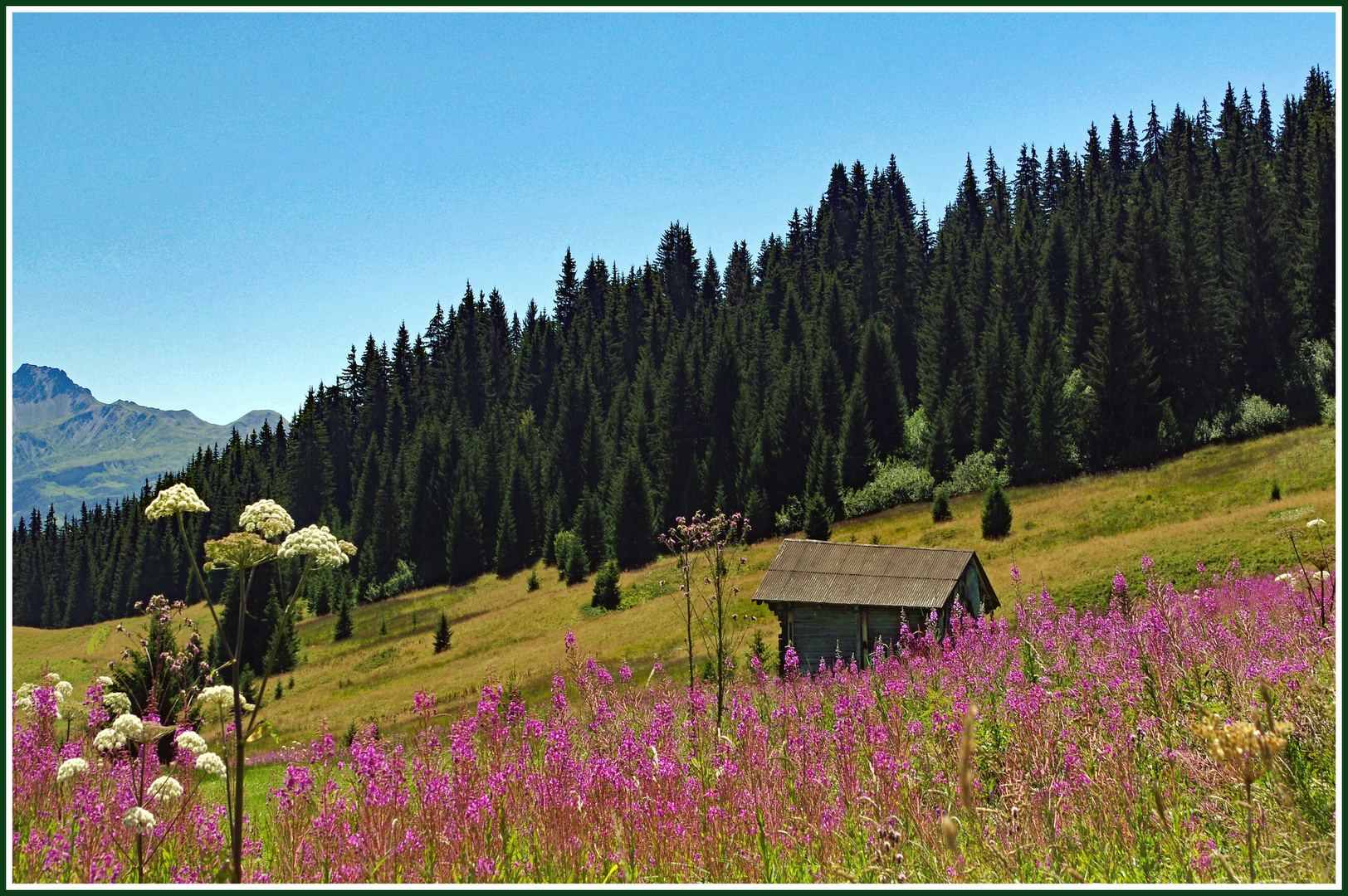 pente douce..., les saisies Foto % Immagini| nature, montagne, paysages Foto su fotocommunity