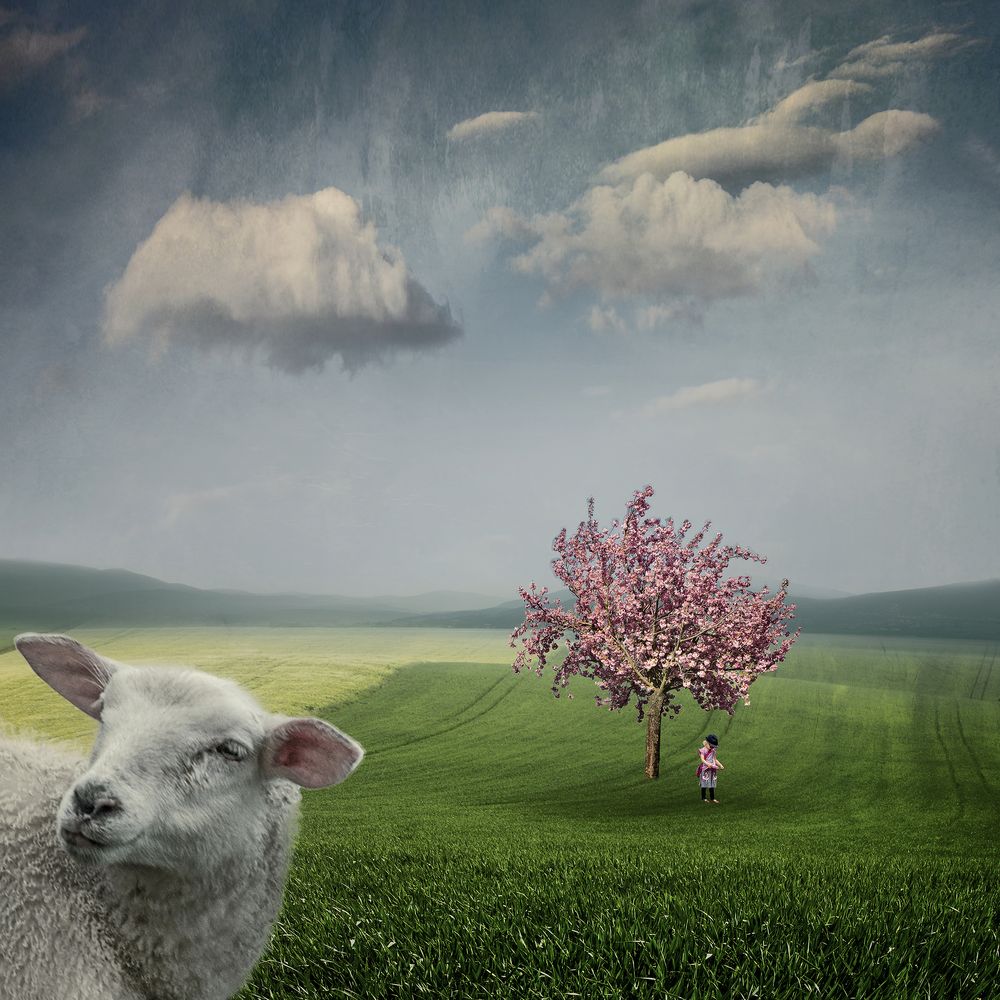 Perspektive Foto & Bild | fotomontage, fantasy mystery, wolken Bilder auf fotocommunity