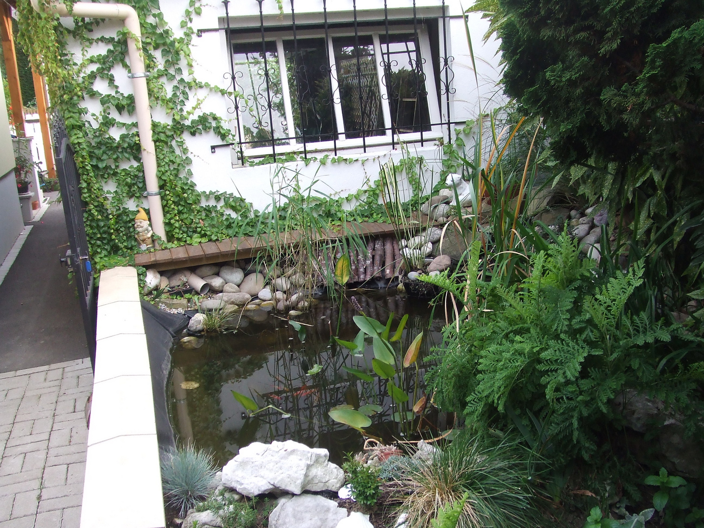 Petit bassin photo et image | jardins, mon album, nature Images ...