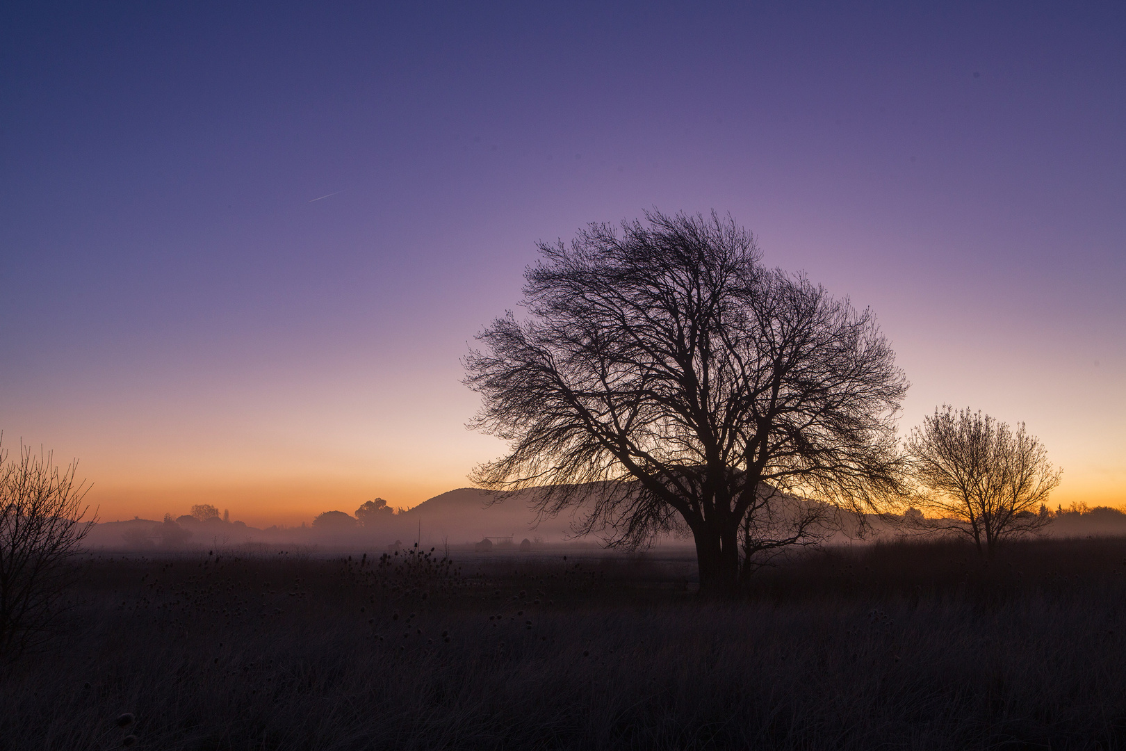 petit matin .... photo et image | animations photographiques, un jour ...