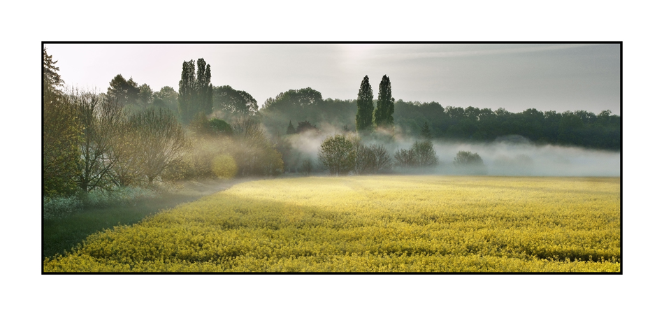 Petit matin photo et image | paysages, paysages de campagne, nature ...