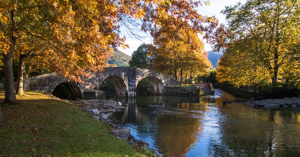 PETIT PONT DE PIERRE photo et image | nature, automne, pont Images ...