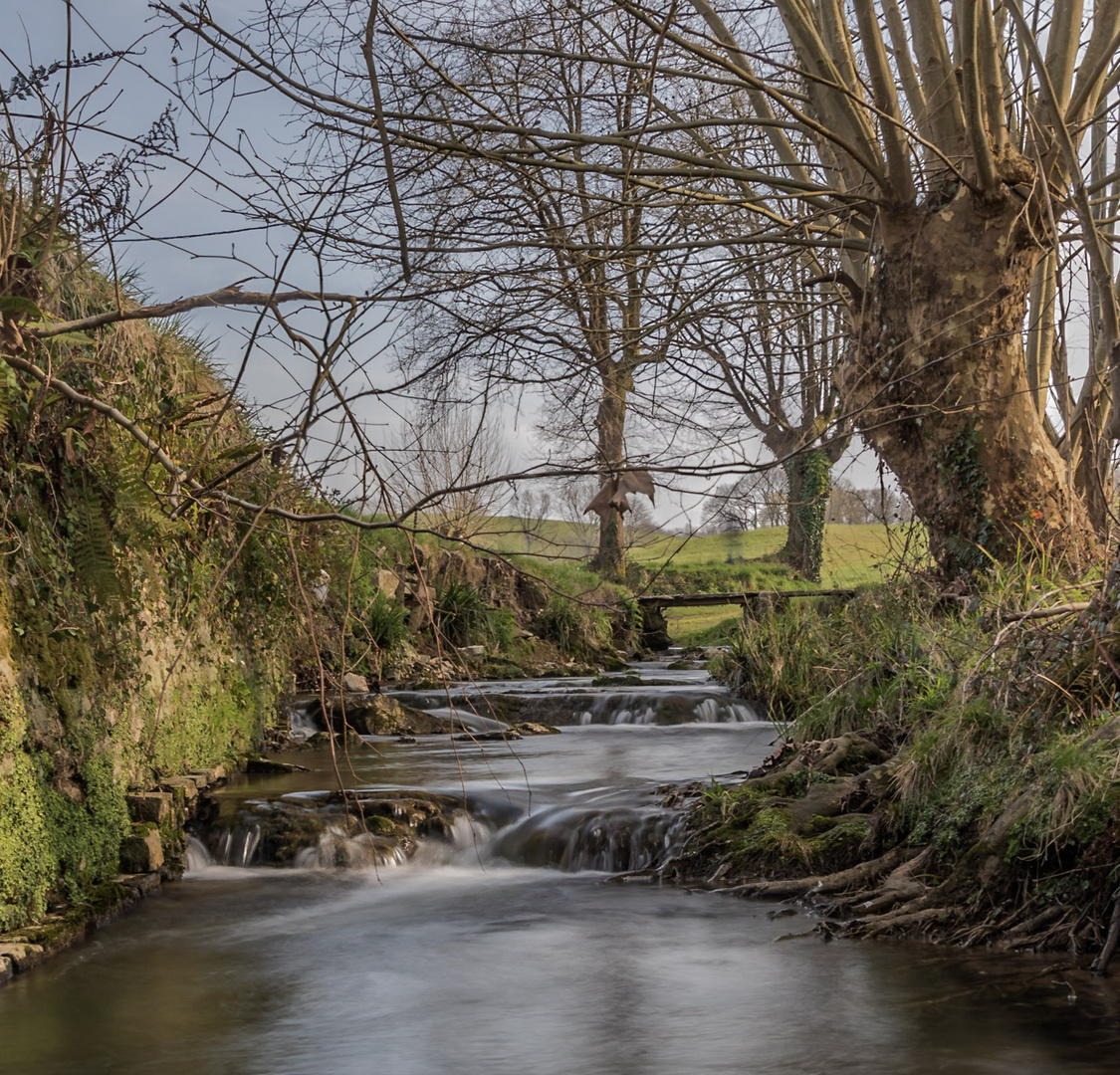 Petit ruisseau photo et image | nature, paysage, ruisseau Images ...