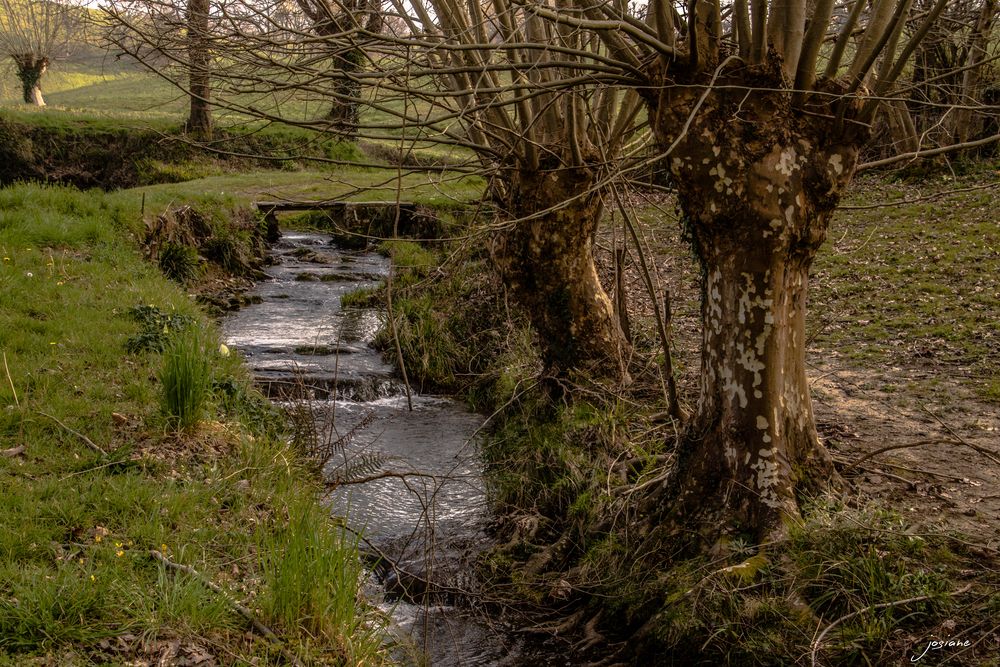 PETIT RUISSEAU photo et image | nature, paysages, ruisseau Images ...