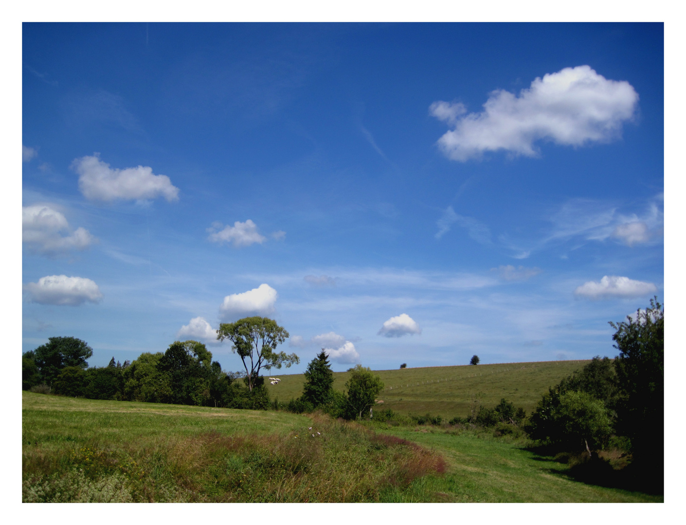 Petites nuages de beau temps... photo et image | europe, benelux ...