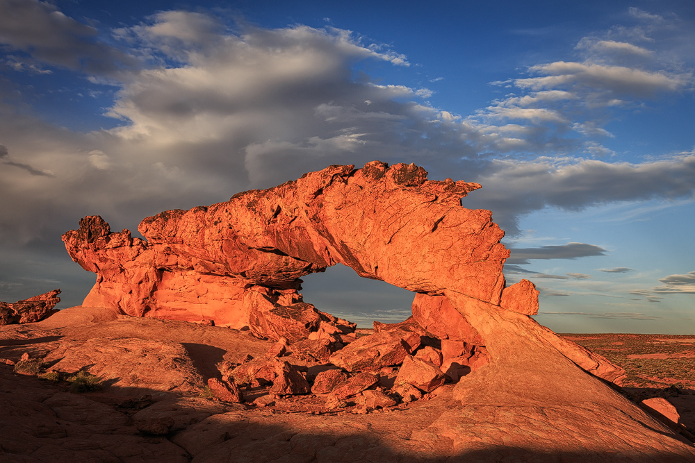 Petrified Dragon Foto & Bild | north america, united states, national ...