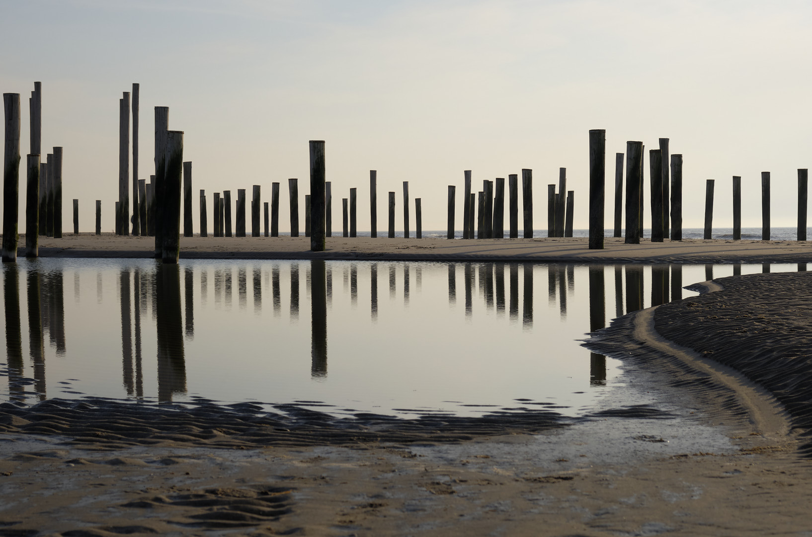 Petten-03 Foto & Bild | Bilder auf fotocommunity