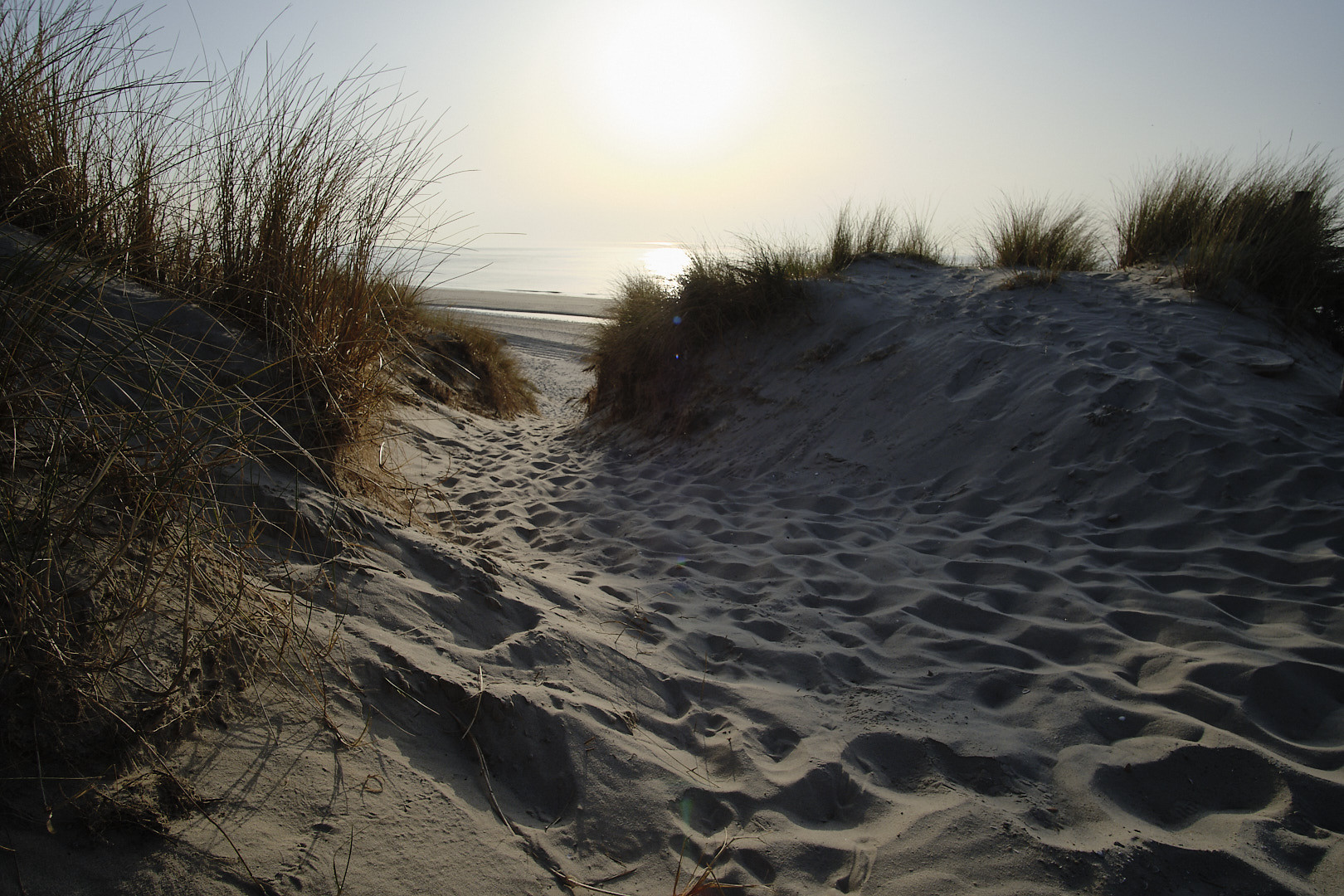 Petten-05 Foto & Bild | Bilder auf fotocommunity