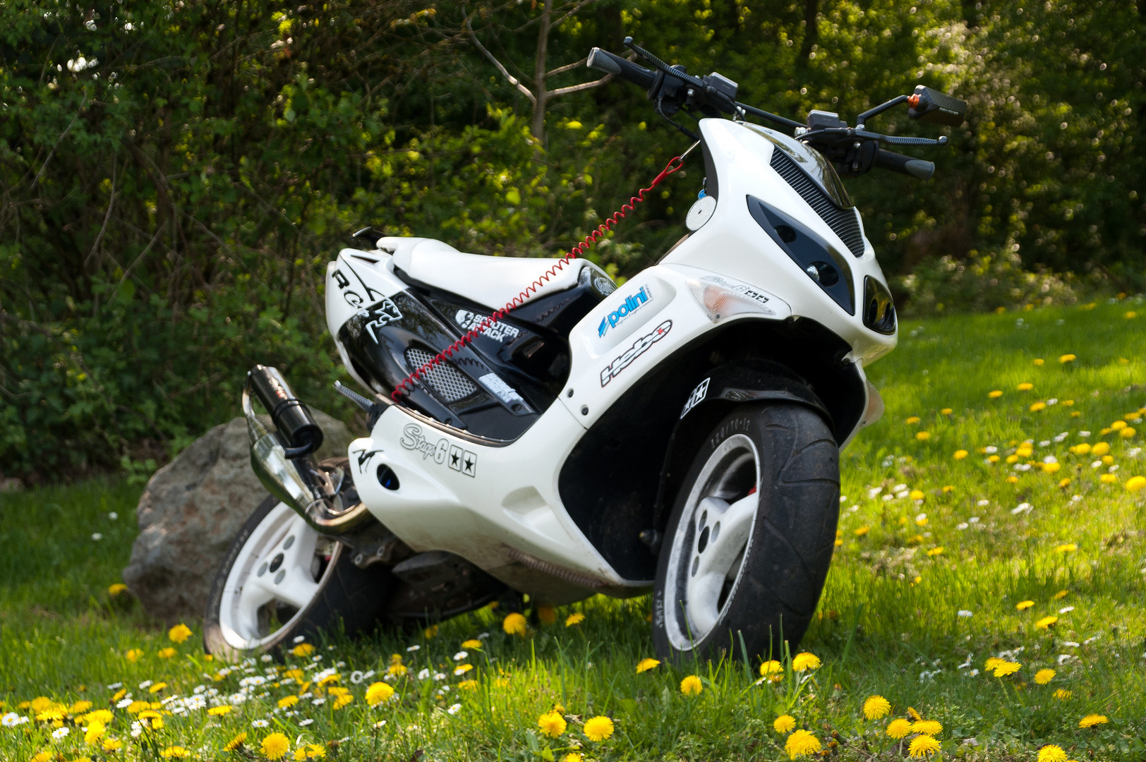 Peugeot Speedfight 2 Foto & Bild | autos & zweiräder, motorräder ...