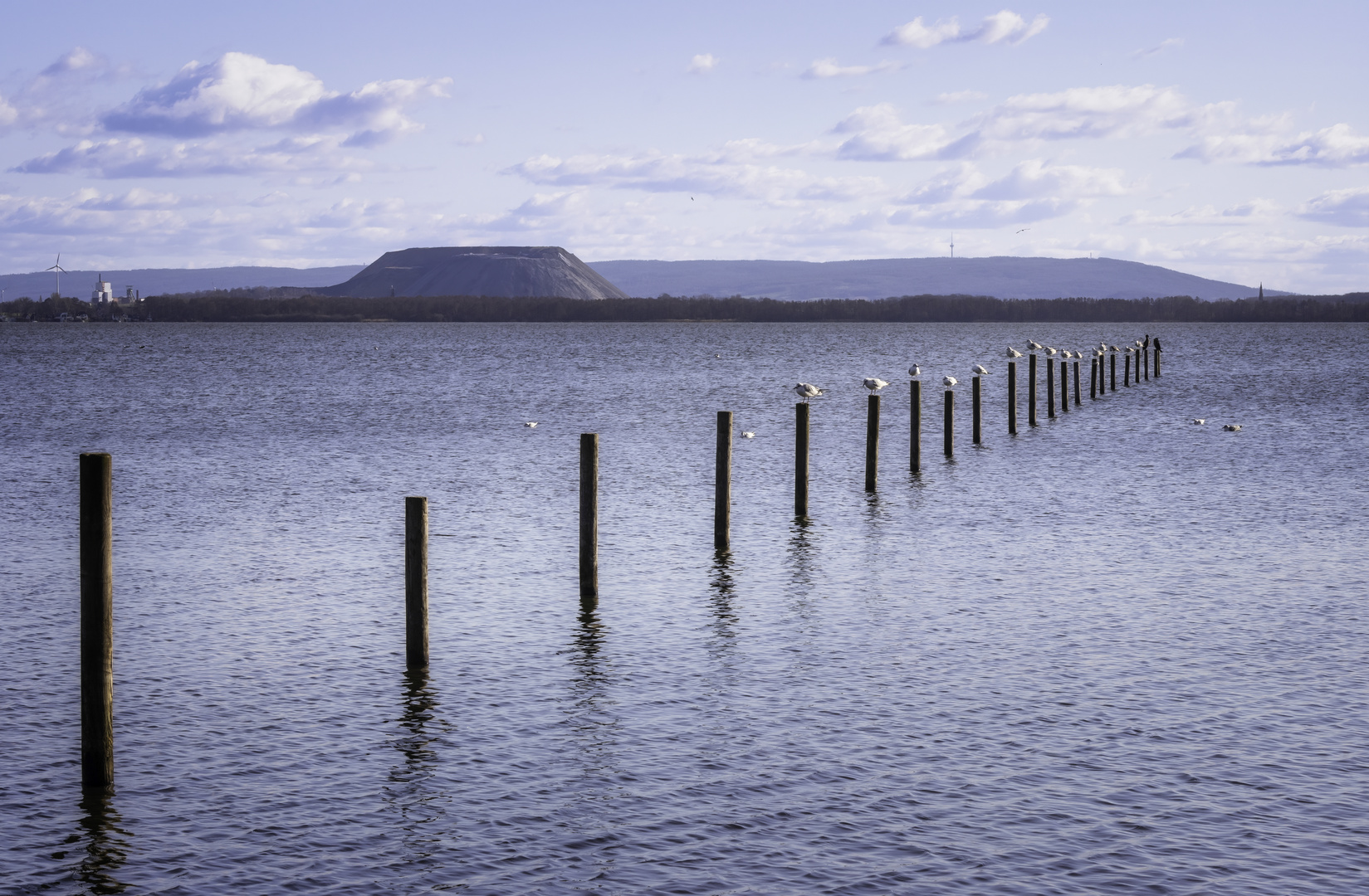 Pfähle im Steinhuder Meer Foto & Bild | deutschland, europe ...