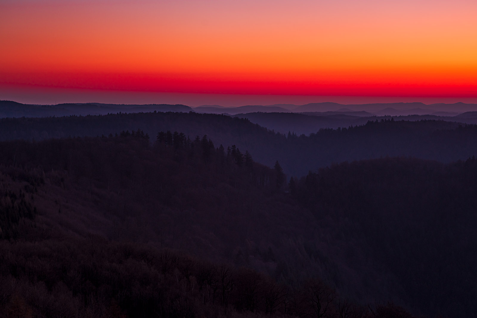 Pfälzerwald Foto & Bild | landschaft, sunset, wald Bilder auf fotocommunity
