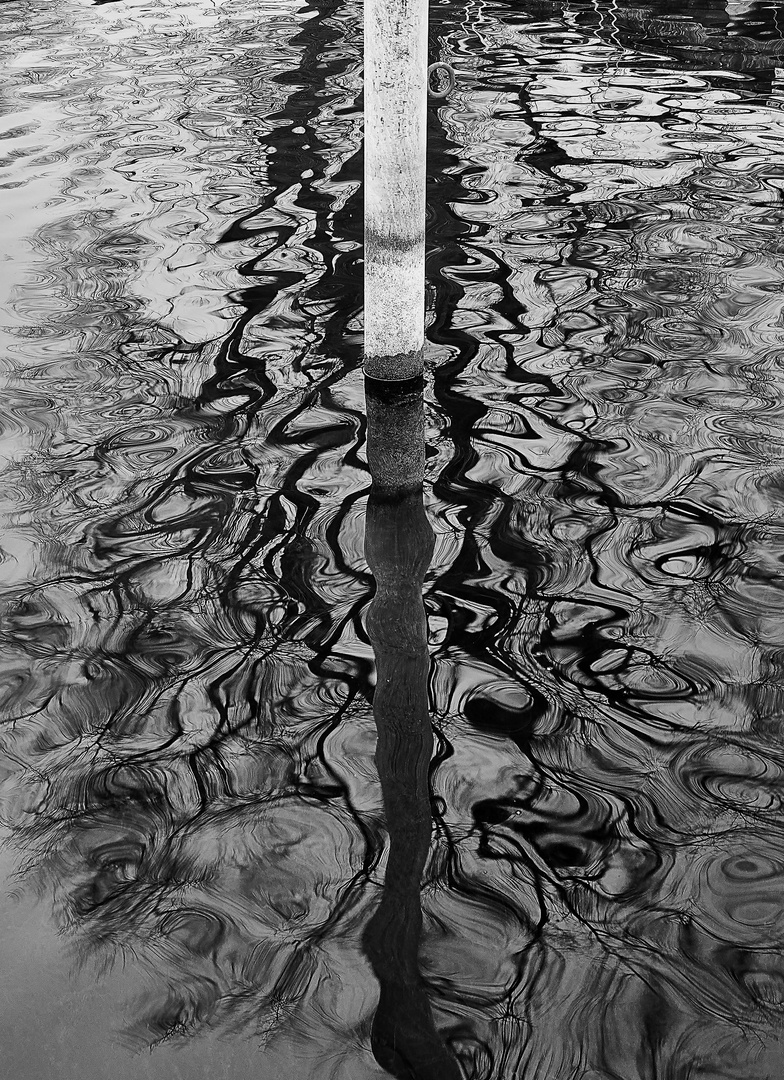 Pfahl Foto & Bild | outdoor, wasser, see Bilder auf fotocommunity