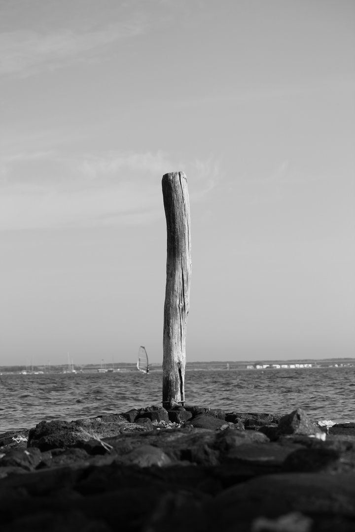 Pfahl Foto & Bild | wasser, meer, küste Bilder auf fotocommunity