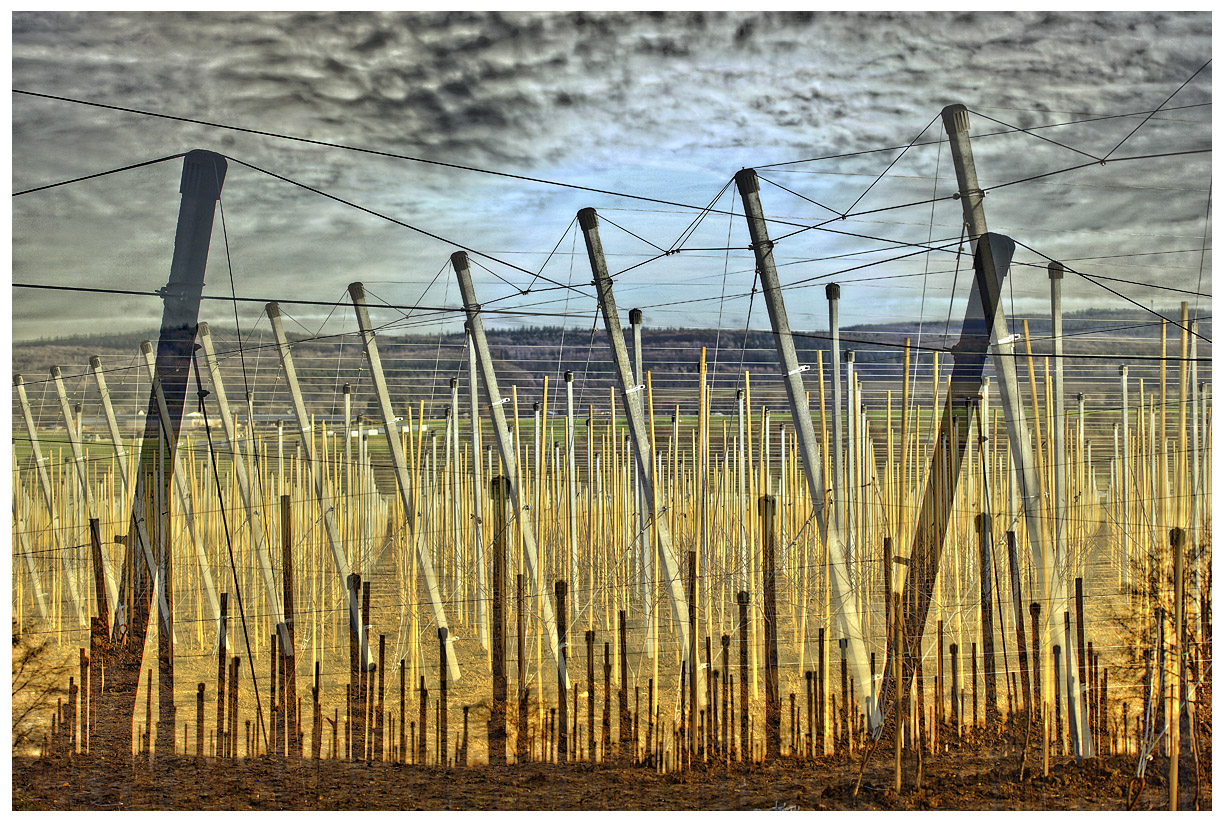 "Pfahl-Bau 2" Foto & Bild | world, spezial, landschaft Bilder auf ...