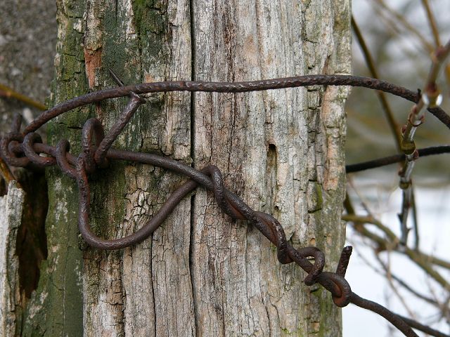 PFAHL Foto & Bild | allerlei Bilder auf fotocommunity