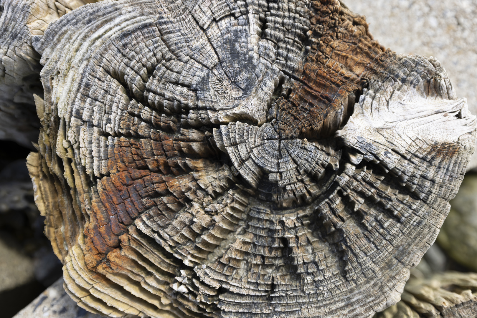 Pfahl Foto & Bild | abstraktes, strukturen, motive Bilder auf fotocommunity