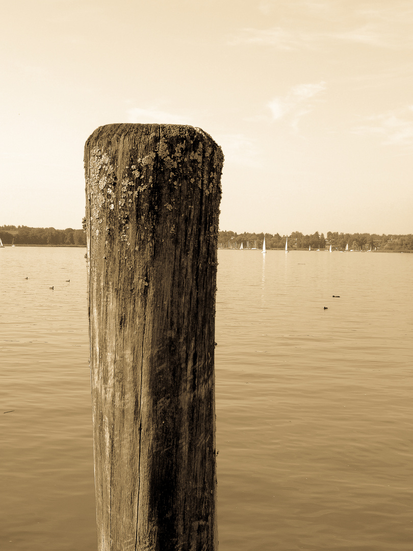 Pfahl im See Foto & Bild | landschaft, bach, fluss & see, see, teich ...