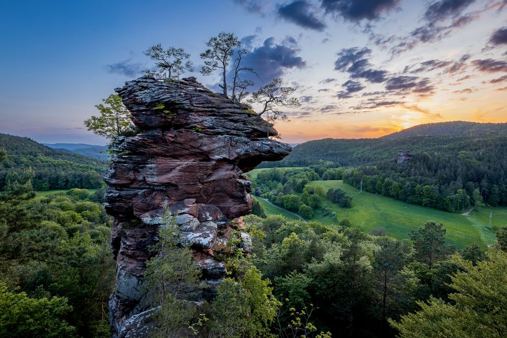 Pfalz - einfach dem Gefühl nach Foto & Bild | deutschland, europe ...