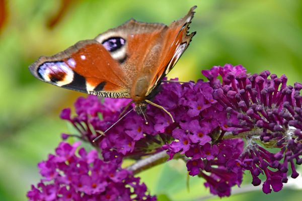 Jahreszeiten Bilder & Fotos - Vier Jahreszeiten
