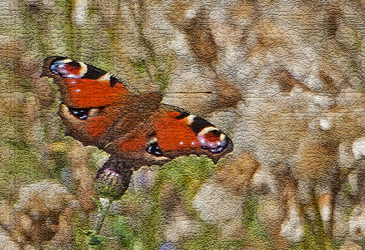 Pfauenauge mal anders Foto & Bild | makro, natur, insekten Bilder auf ...