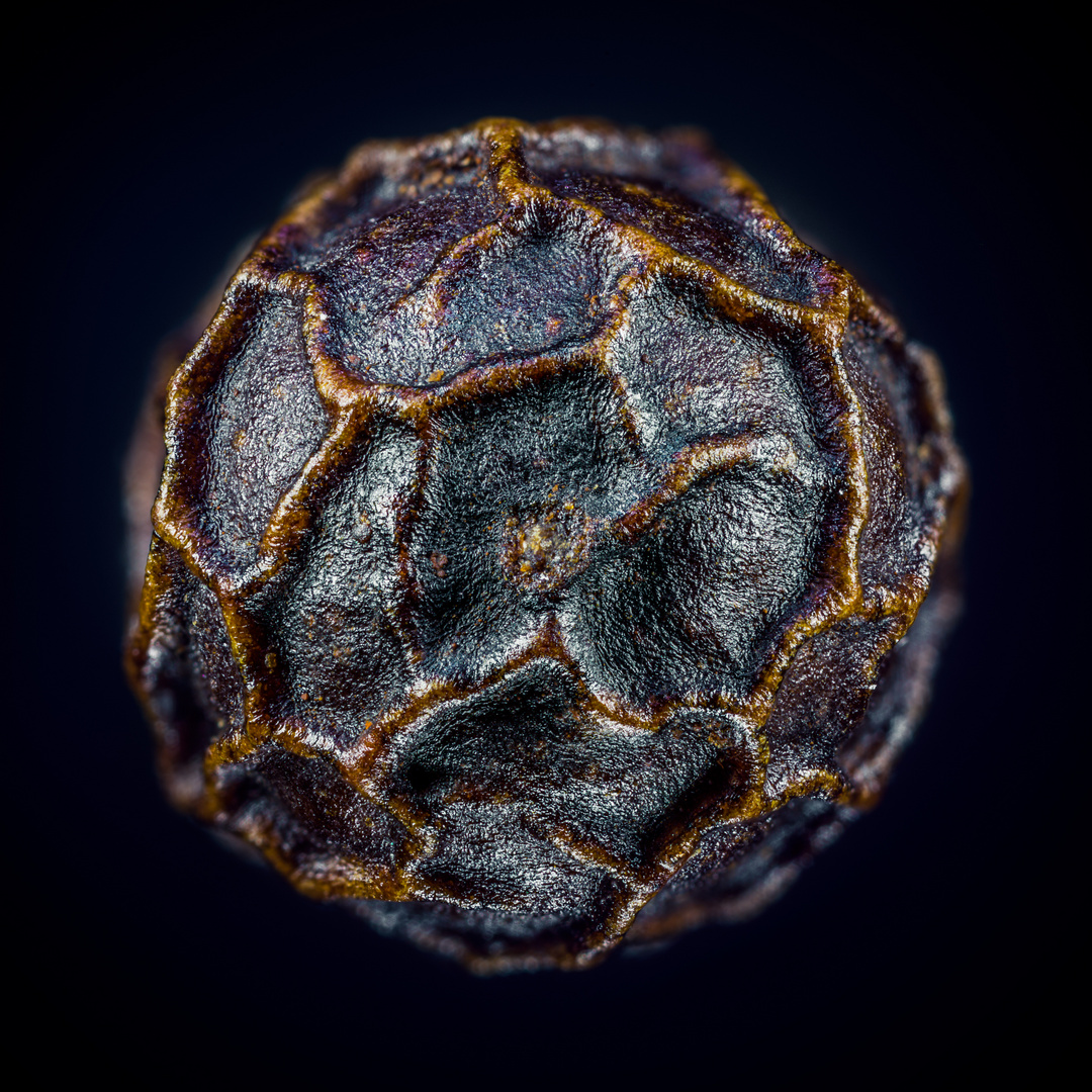 Pfefferkorn Foto & Bild | spezial, makro, licht Bilder auf fotocommunity