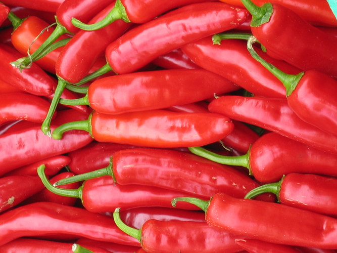 ...Pfefferoni... Foto & Bild | sonstiges, natur Bilder auf fotocommunity