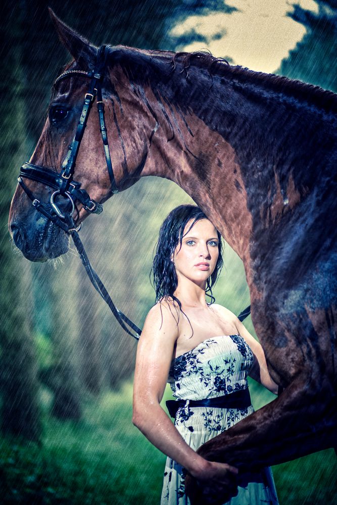 PFERD UND REGEN Foto & Bild | fotomontage, composing , composing Bilder auf fotocommunity