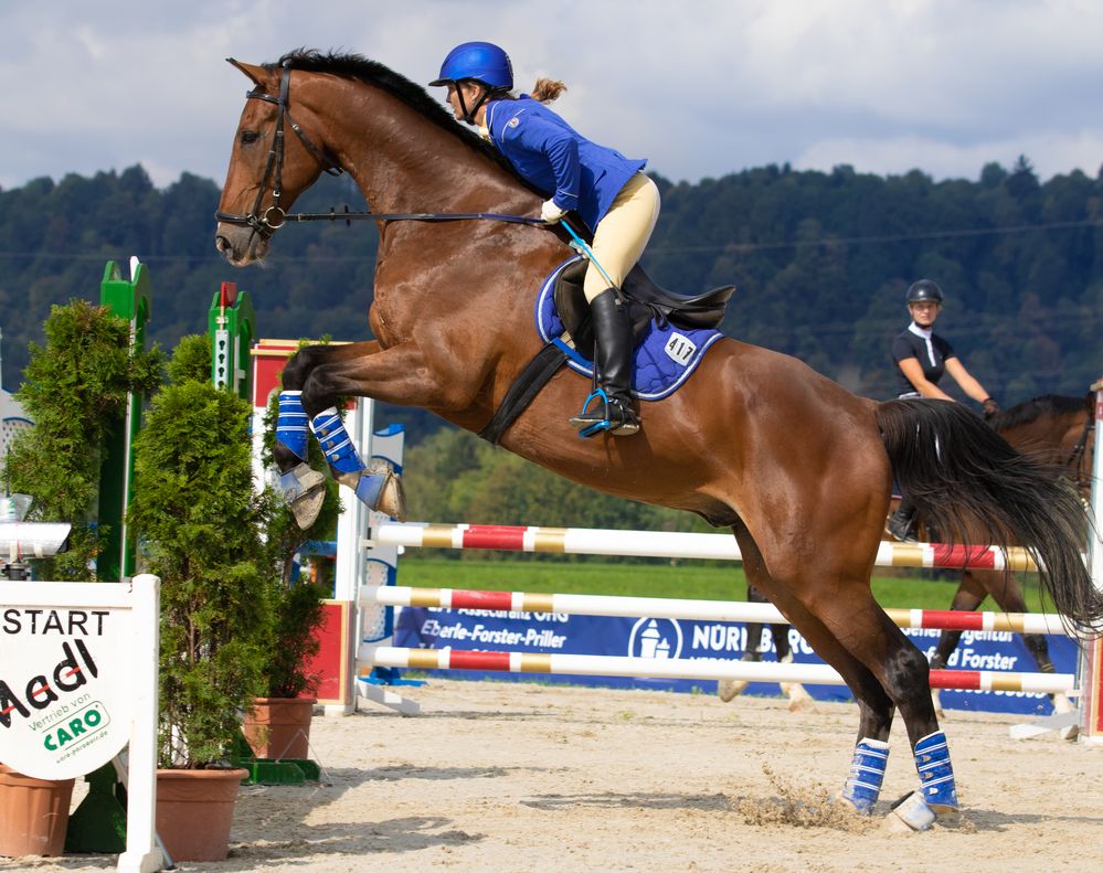 Pferd und Reiter im Sprung-5212 Foto & Bild | sport, parkour, pferde ...