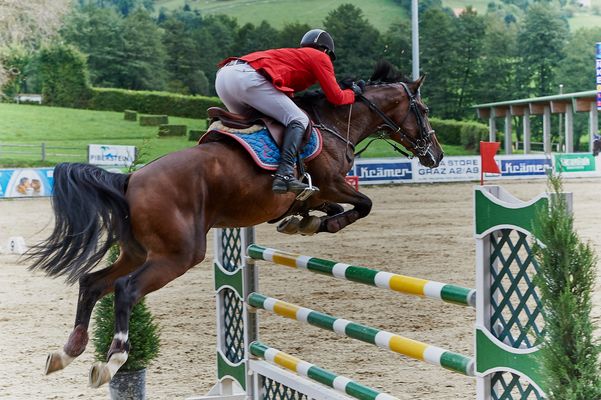 Turniersport Bilder & Fotos