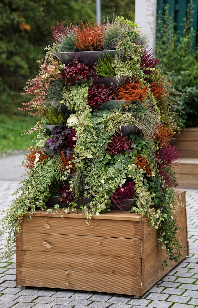 Pflanzen Hochbeet Foto & Bild | fotos, natur, landschaft Bilder auf ...