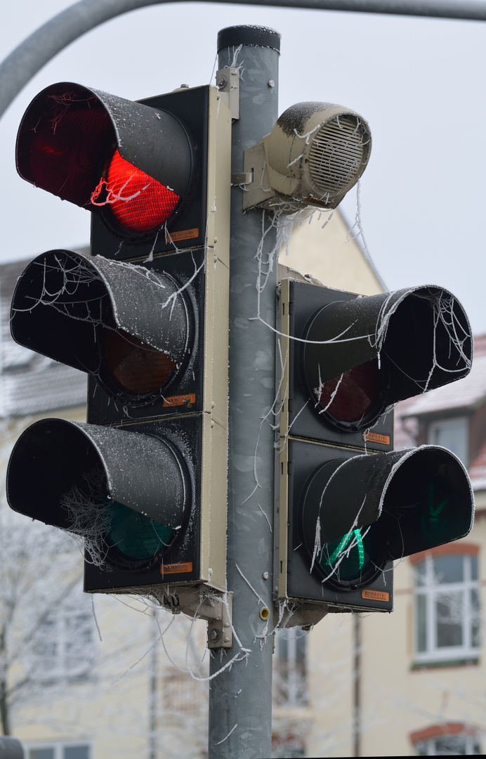 Pfui Spinne Foto & Bild | alltagsdesign, ich, motive Bilder auf ...