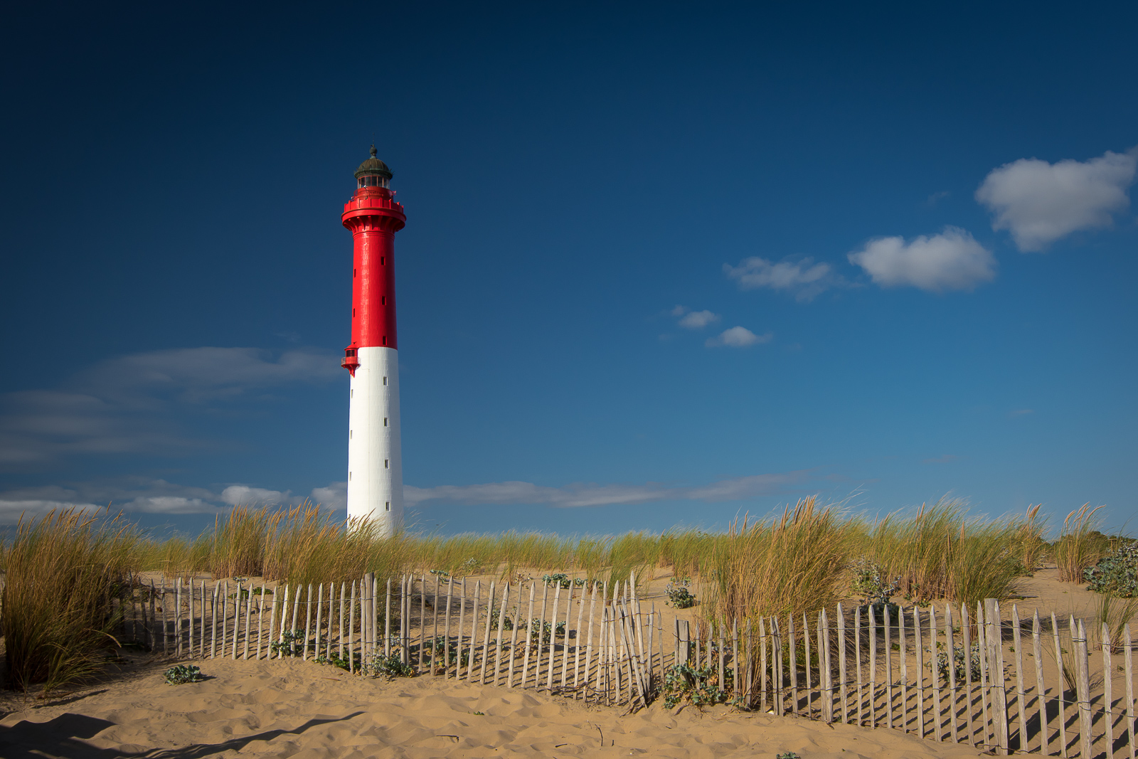 Phare de la Coubre photo et image | france, maritime, europe Images ...