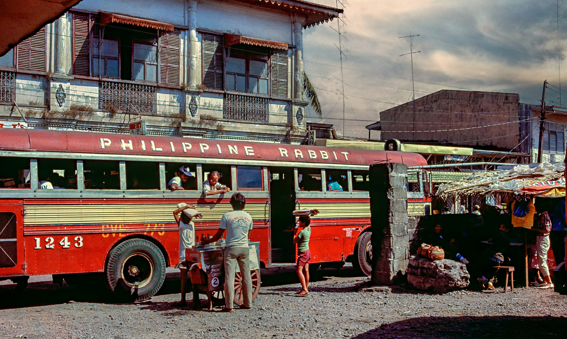 Philippine Rabbit Foto & Bild | red, world, rot Bilder auf fotocommunity