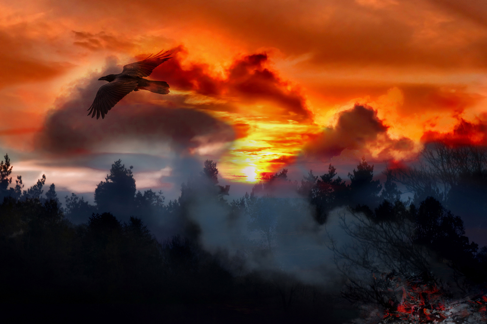 Phönix aus der Asche Foto & Bild | fotos, spezial, natur Bilder auf ...