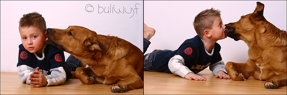 BULIWYF und seine Freunde - Fotos & Bilder - Fotograf aus der ...