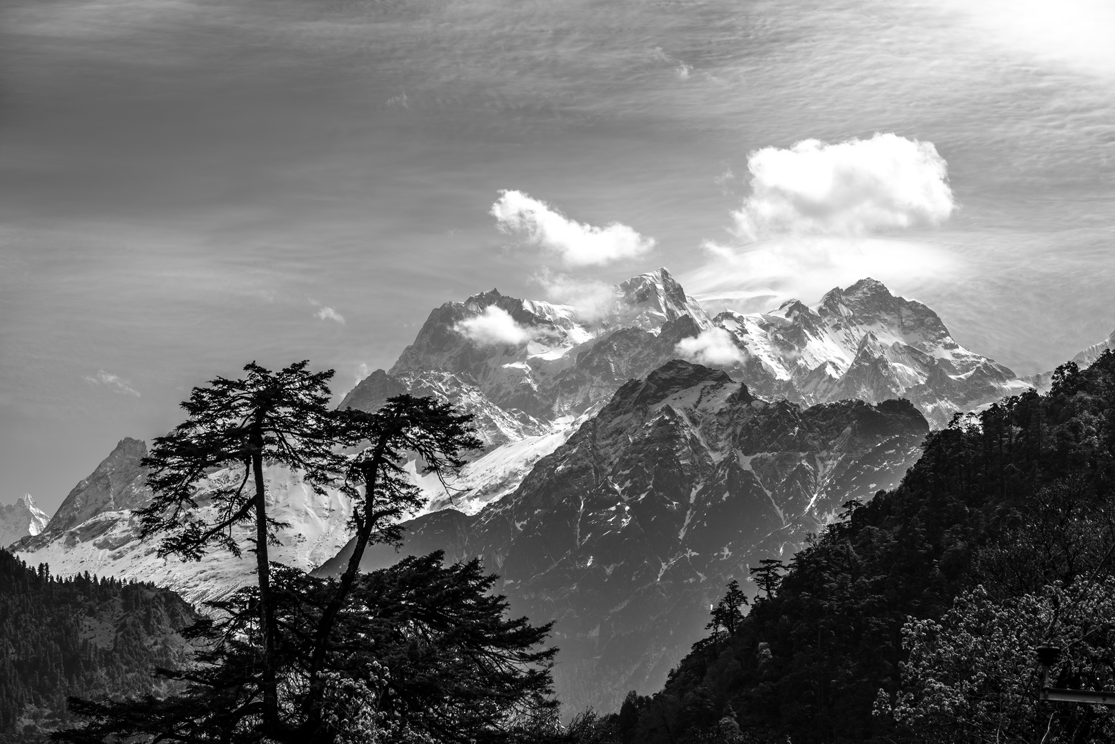 Phungi Himal Foto & Bild | pflanzen, pilze & flechten, landschaft ...