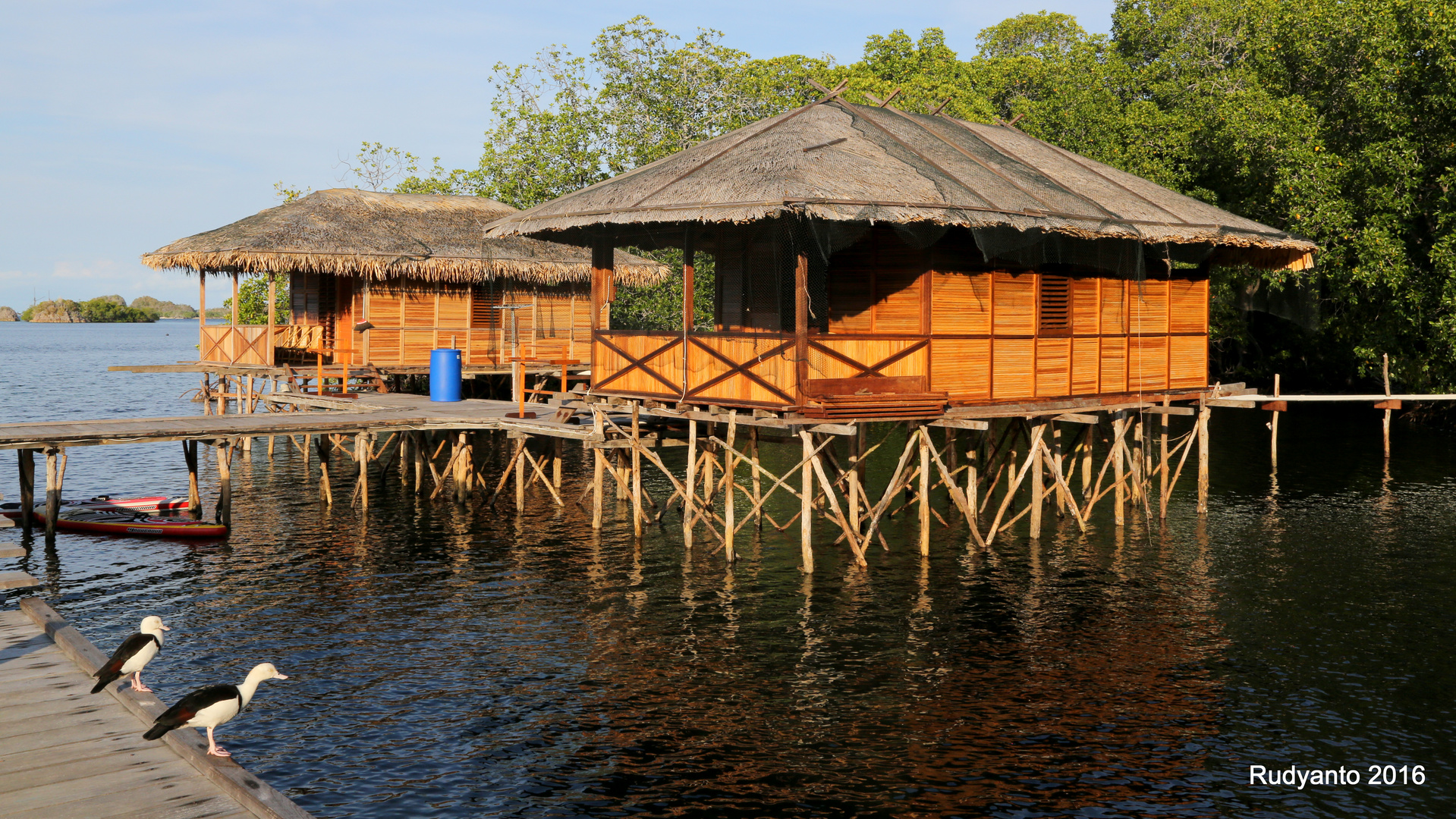 Piaynemo Foto & Bild | indonesia, indonesien, raja ampat Bilder auf ...