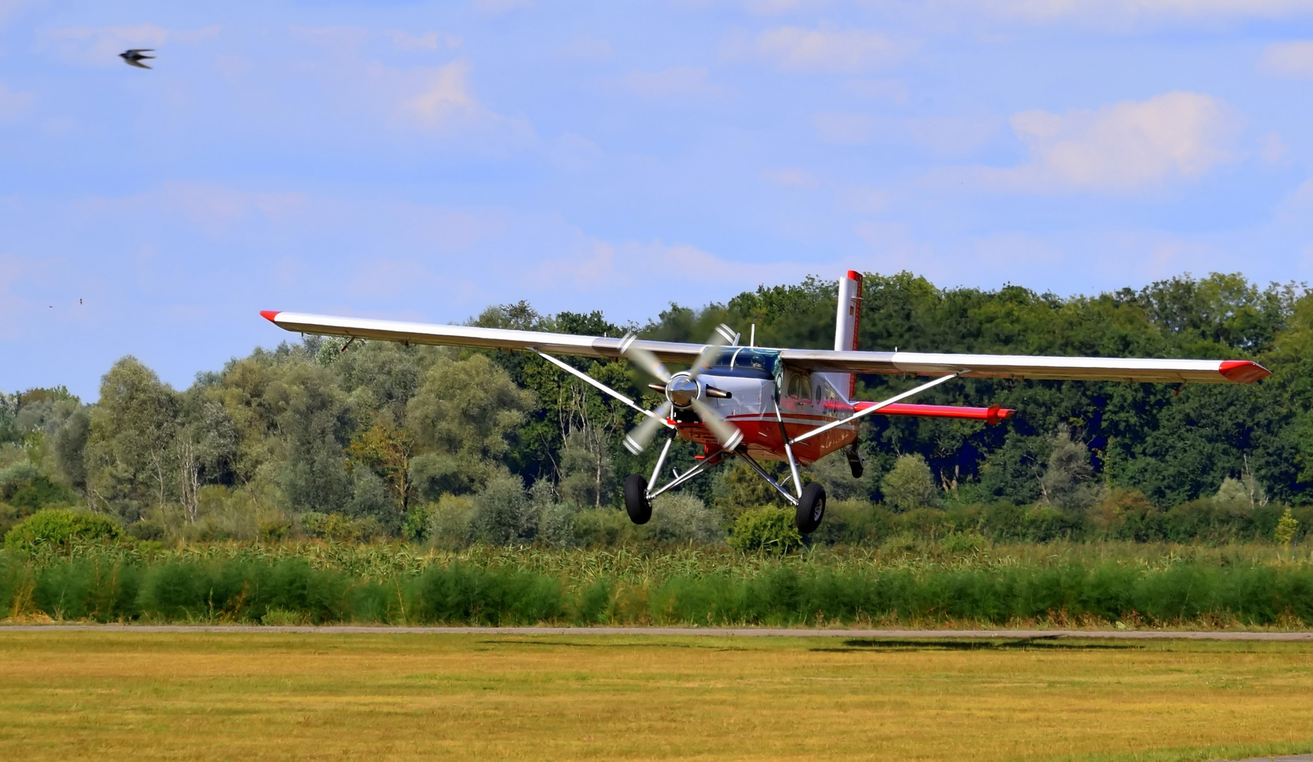 Pilatus Porter Foto & Bild | sport, flugsport, motorflug Bilder auf ...