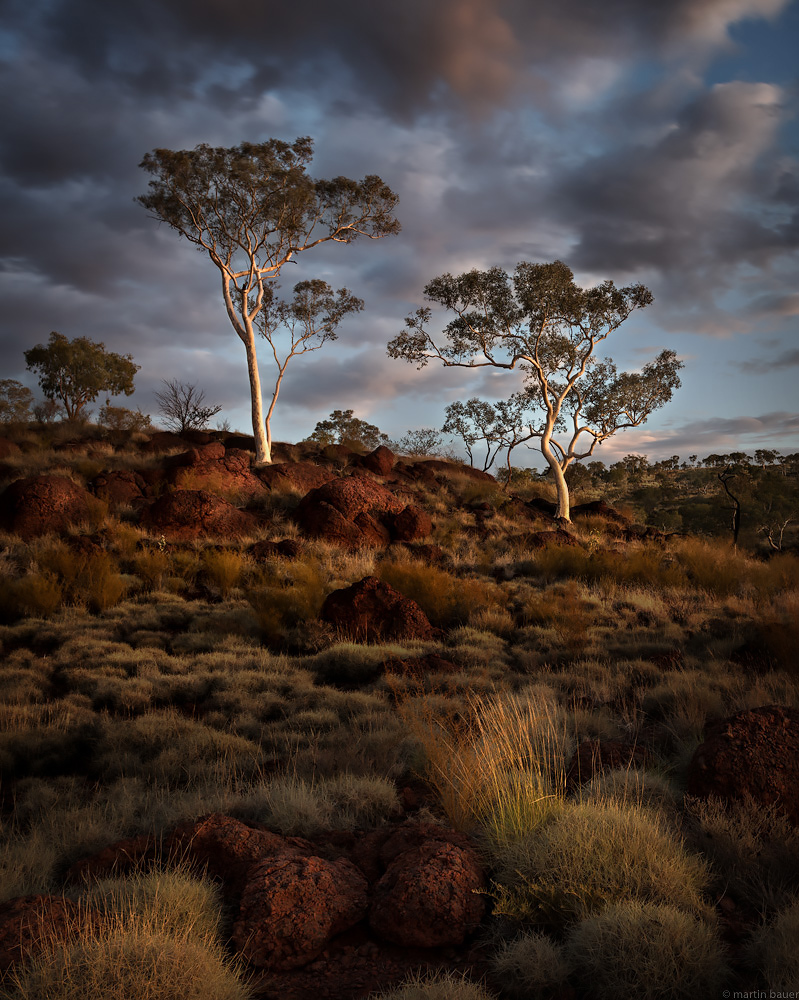 PILBARA MORNING Foto & Bild | west australien, world, morgenlicht ...