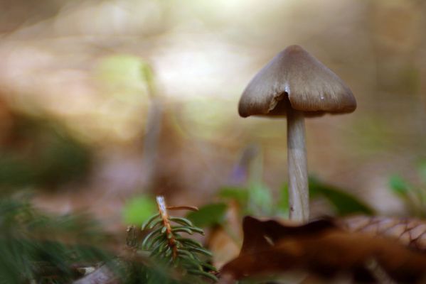 Daniel Suchy - Fotos & Bilder - Fotograf | fotocommunity