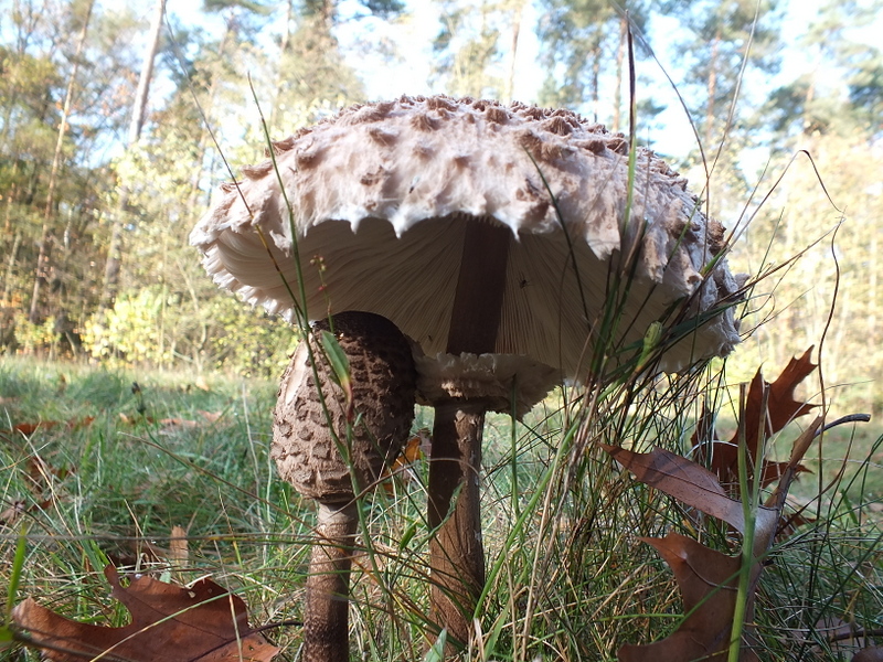 fotocommunity Portfolio von Peter Kotowski