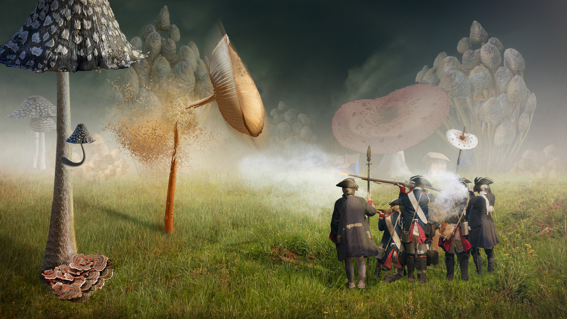 Pilze Halali Foto & Bild | fotomontage, bearbeitungs - techniken, filtertechniken Bilder auf ...