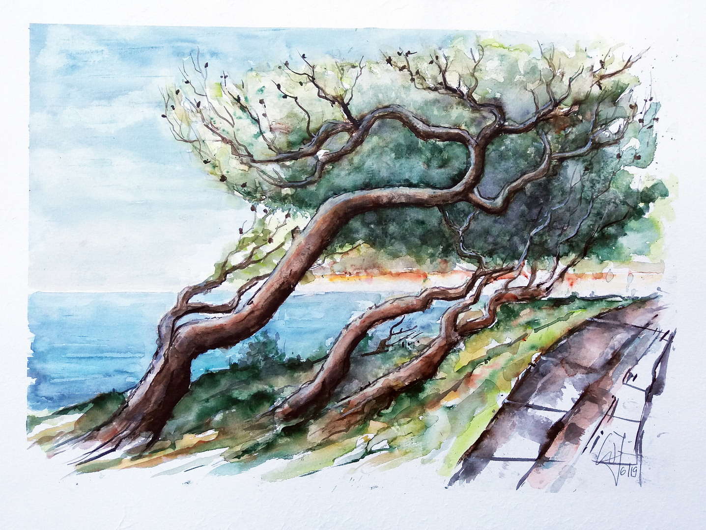 Pinien 2 Foto & Bild | grafik, natur, aquarell Bilder auf fotocommunity