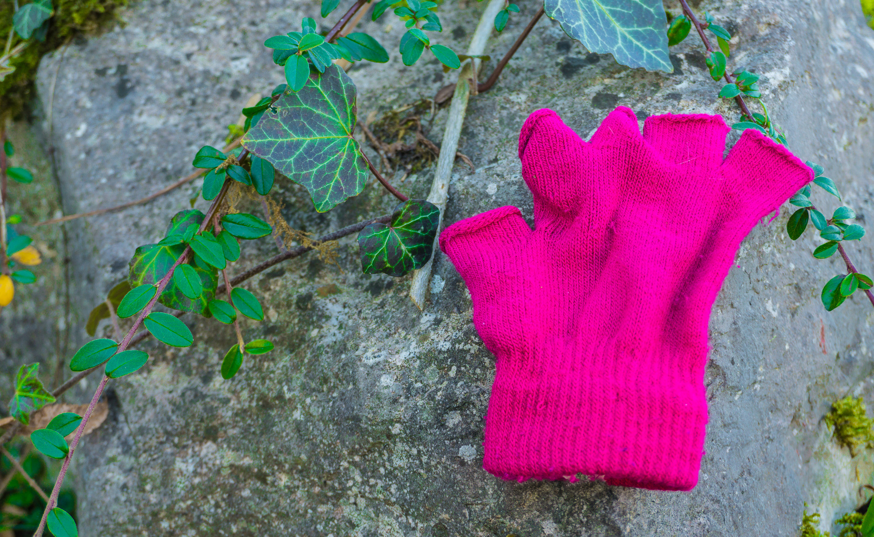 Pink! - It was love at first sight! Foto & Bild | abstraktes ...