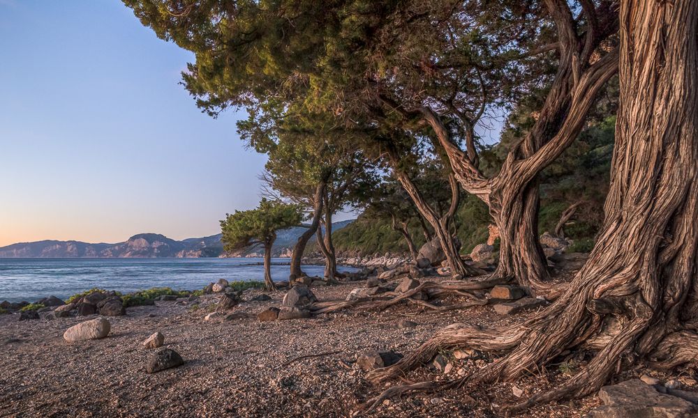 Pino Sardo II Foto & Bild | italy, world, spezial Bilder auf fotocommunity