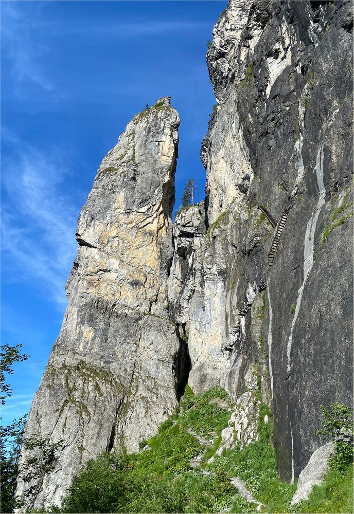 Pinut Foto & Bild | natur, schweiz, graubünden Bilder auf fotocommunity